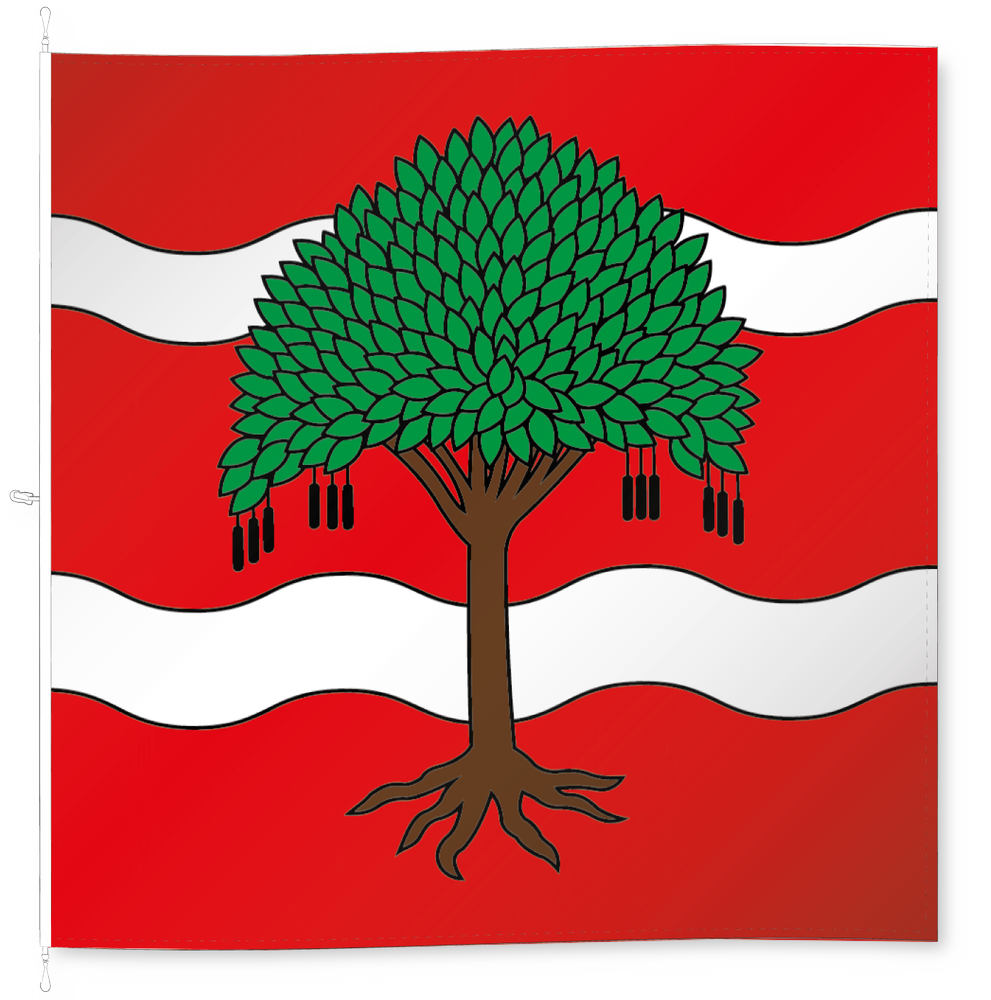 Drapeau commune Onex GE | Alpenfahnen AG