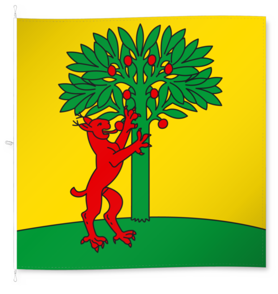 Fahne Gemeinde Risch ZG | Alpenfahnen AG